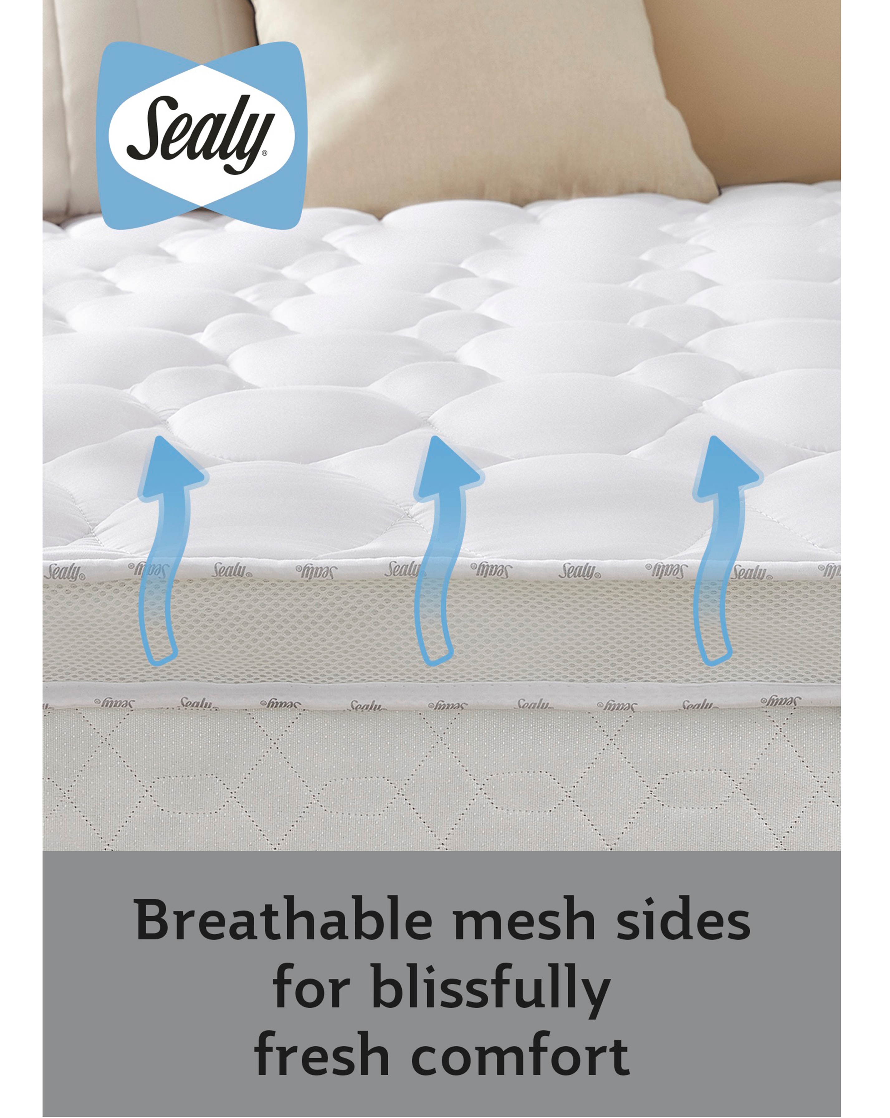 Sealy Deeply Full Mattress Topper Fashion World
